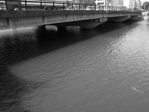 【CAST＆BITE】 日常2012/0919